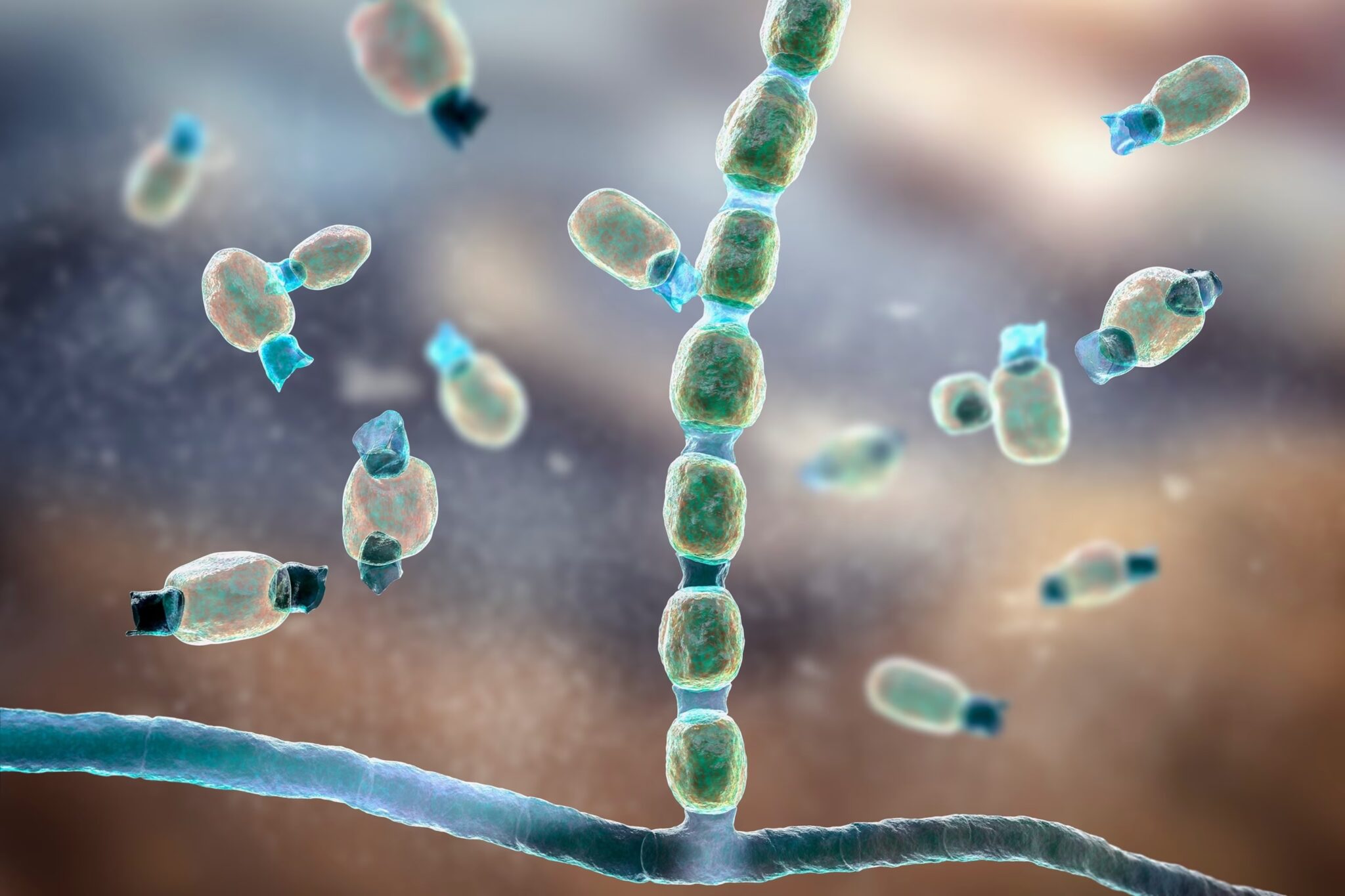 Valley Fever Cases Climb Again in California After Record-Breaking 2024 ...